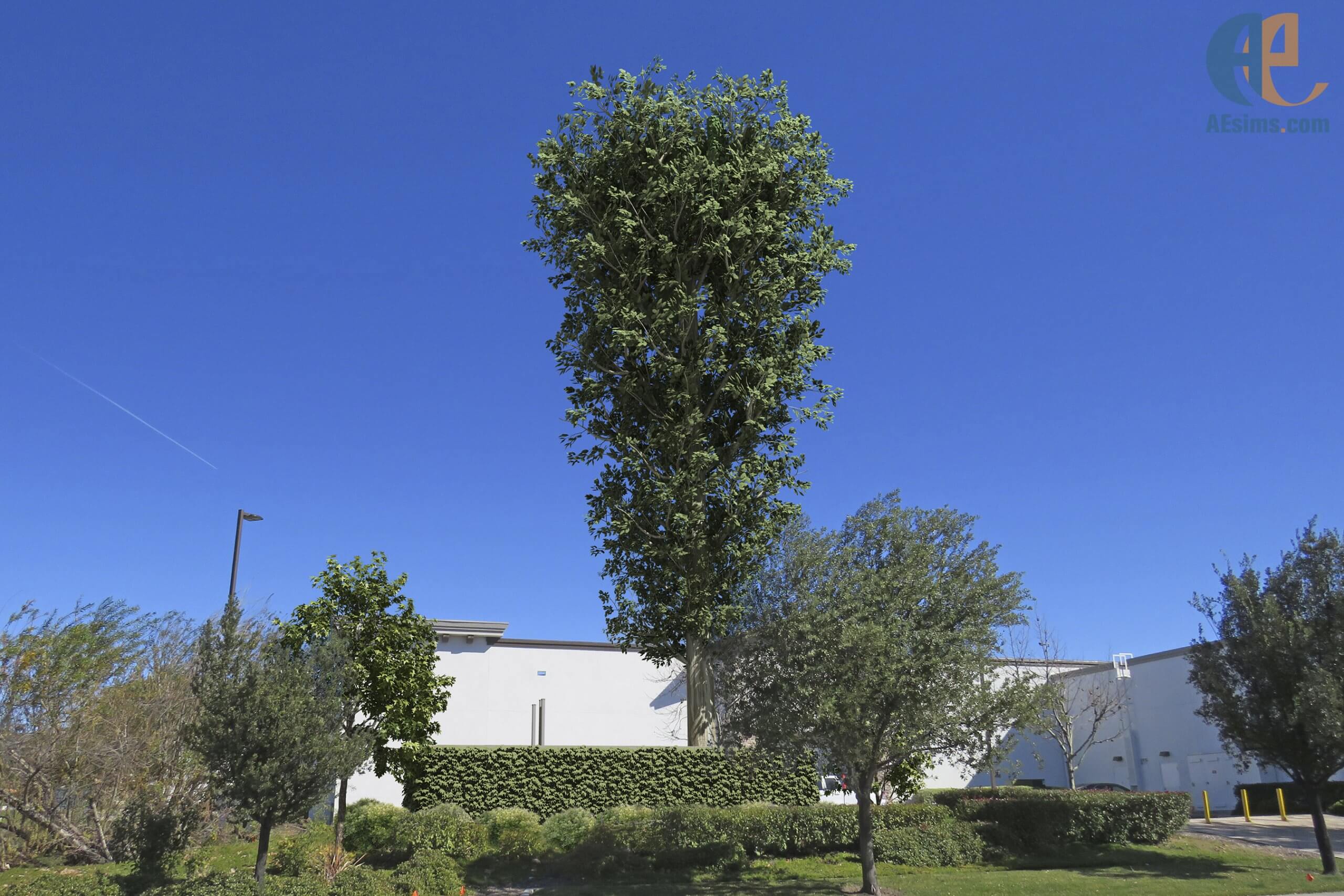 Image Overlay Example – Single Page – Artistic Engineering